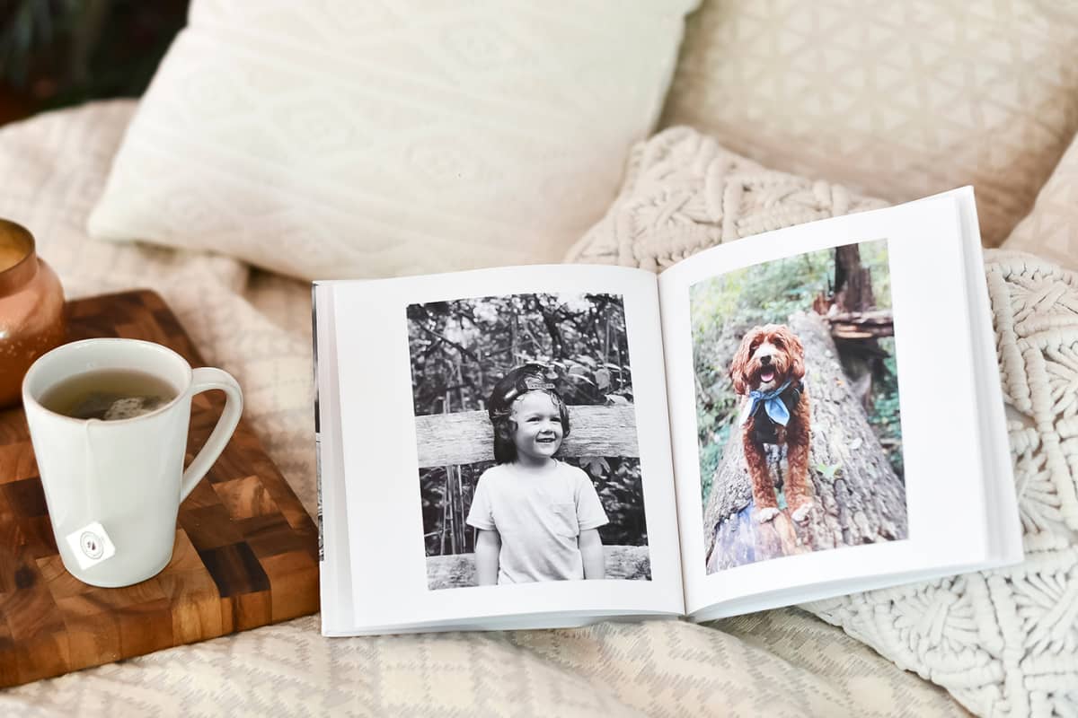 Parabo Press: Homepage