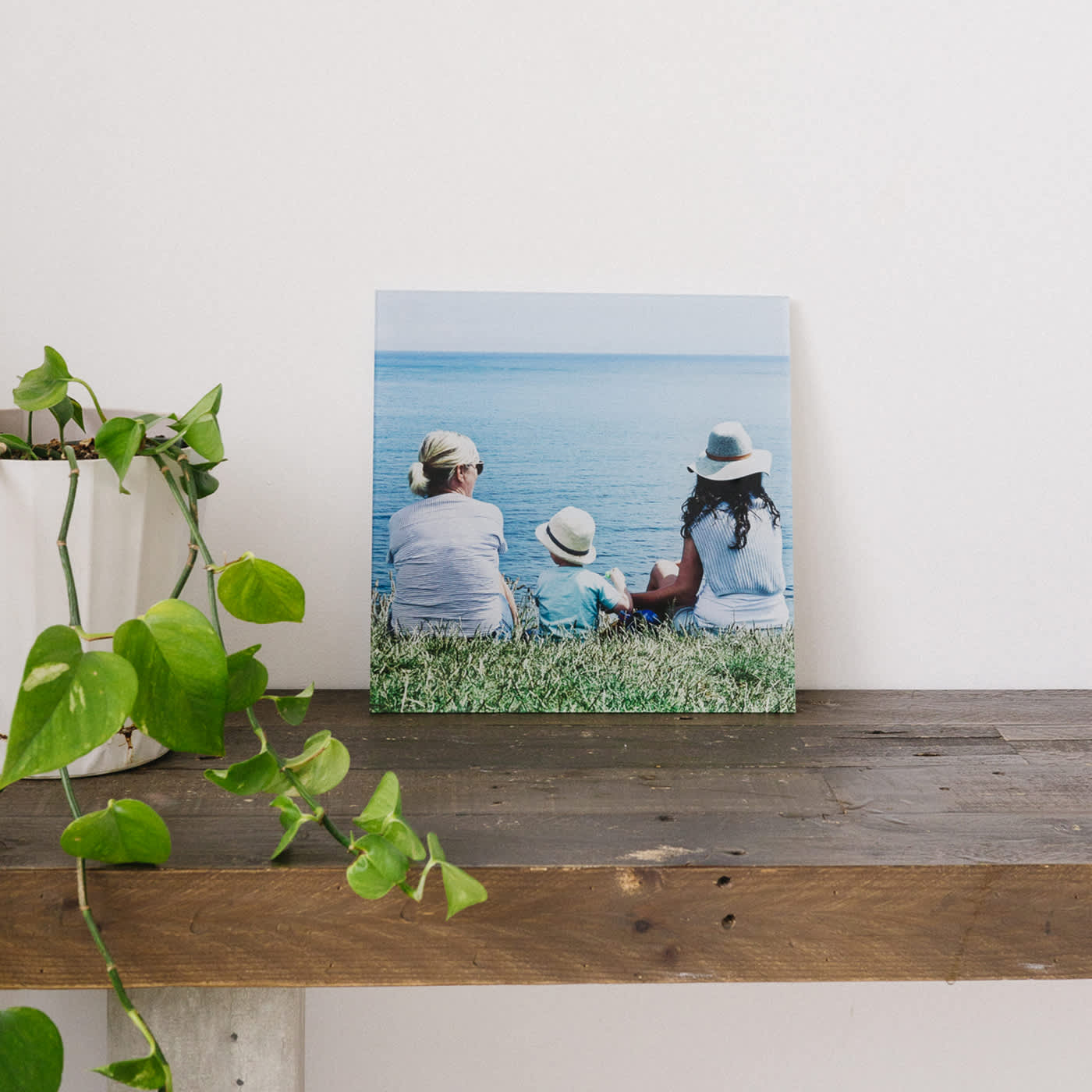 Parabo Press: Acrylic Prints