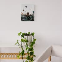 Parabo Press: Acrylic Prints